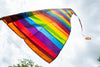 Pelangi Rainbow Flag with Telescoping Pole · Mexicali Blues