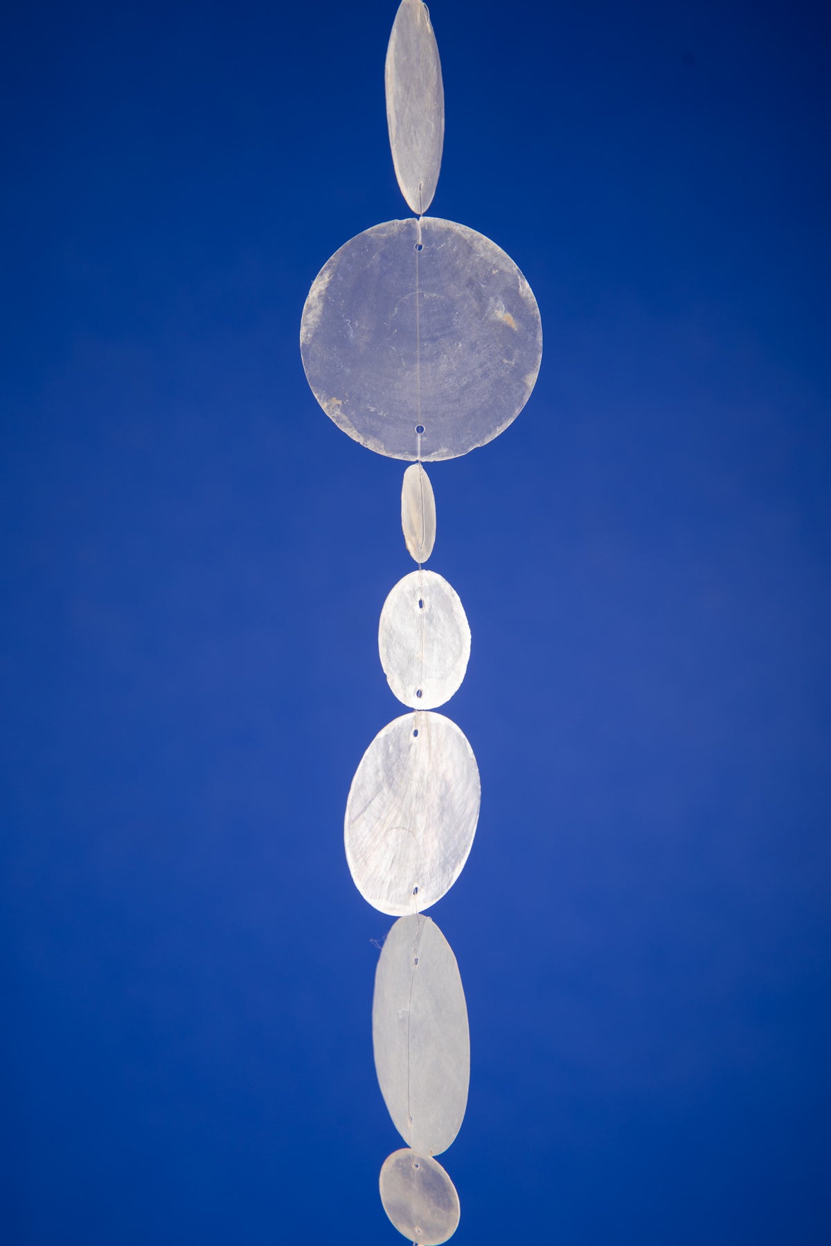 Capiz Shell Strand | Coastal Home Decor · Mexicali Blues