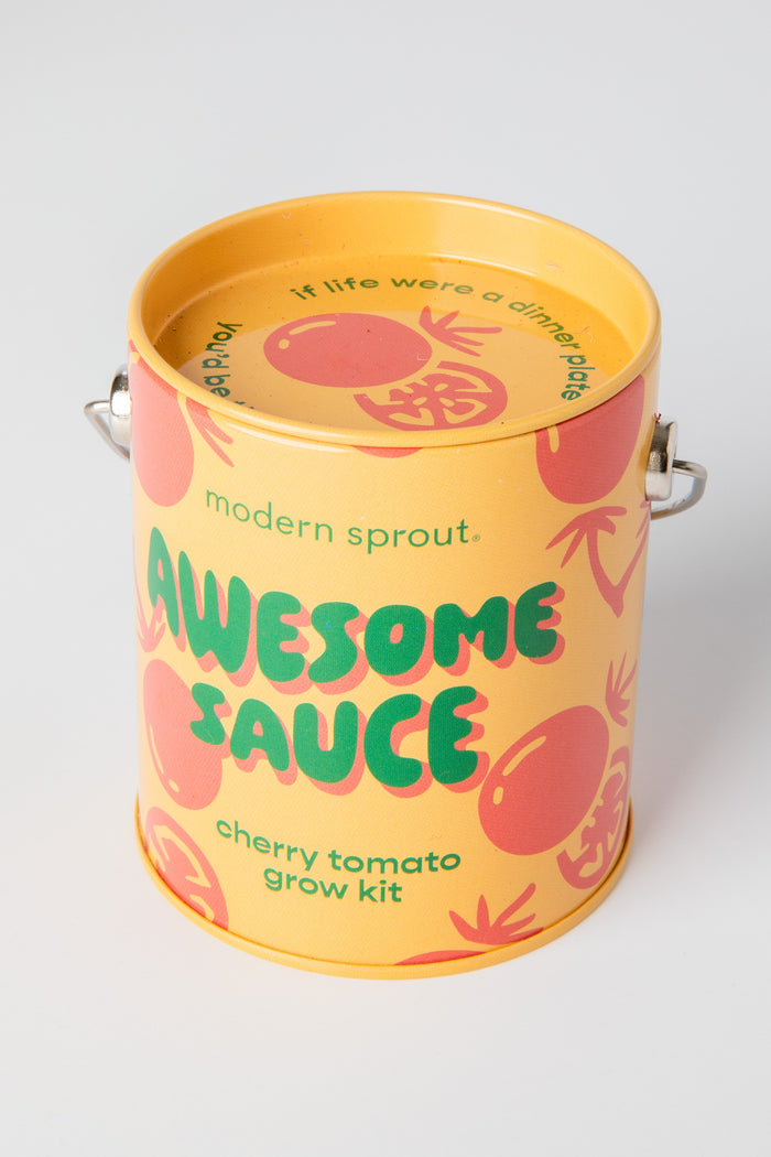 Complimentary Color Grow Kit | Plant Grow Kit · Mexicali Blues